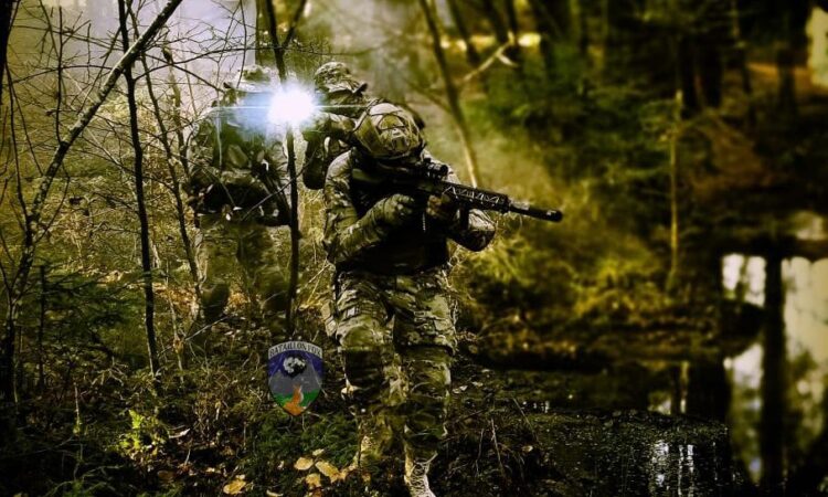 28.06.2026 Woodland Fox FFA(Kärnten) – airsoft-info.at